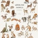 Watercolor Fall Woodland Forest Animals Clipart Watercolor Pumpkin ...