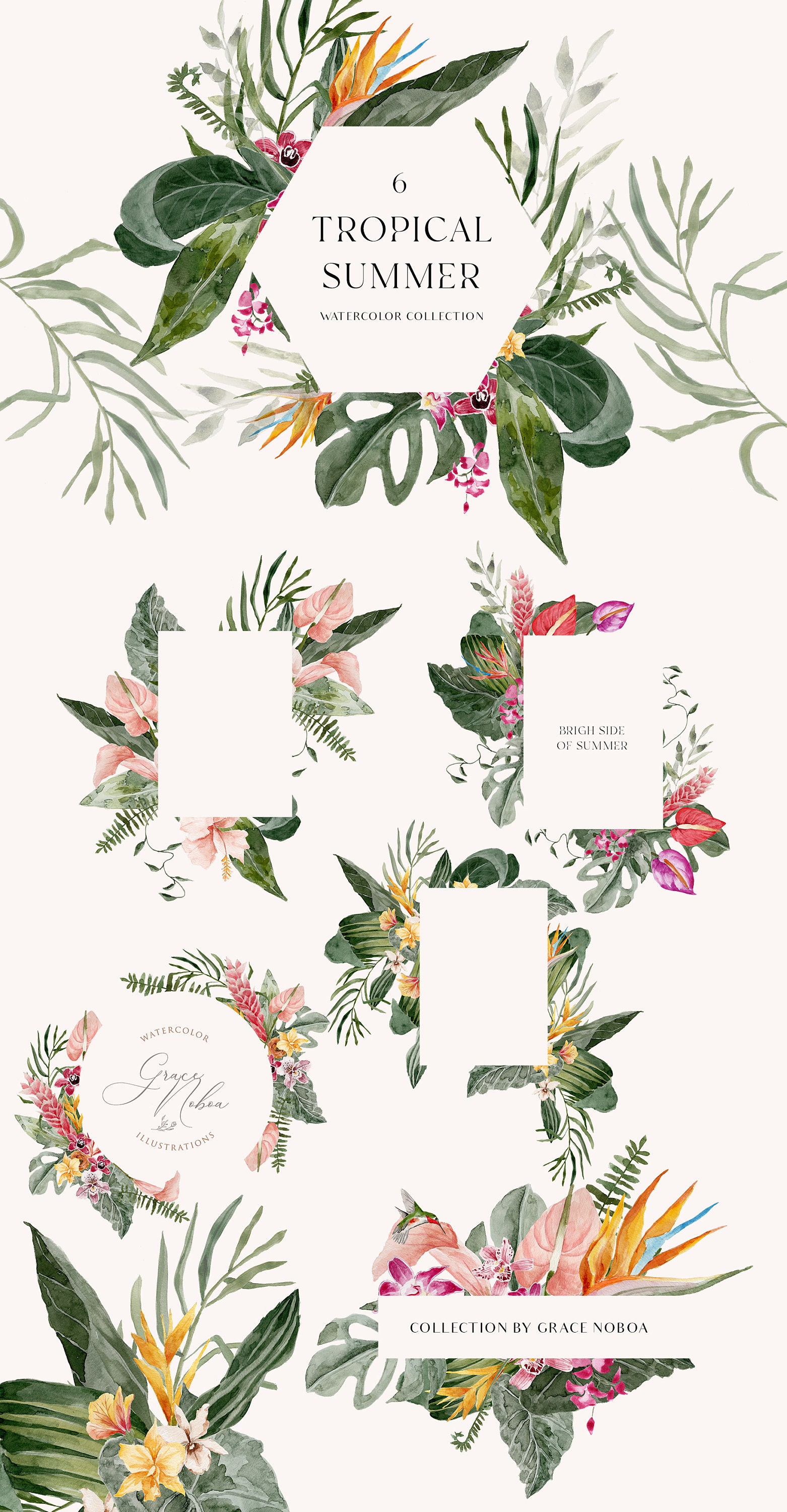 Tropical Watercolor Floral Clipart Tropical Flowers - Etsy