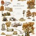 Watercolor Fall Woodland Forest Animals Clipart Watercolor Pumpkin ...