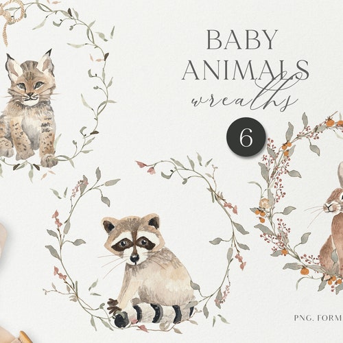 Owls. Watercolor Animals Clipart Woodland Birds Forest - Etsy