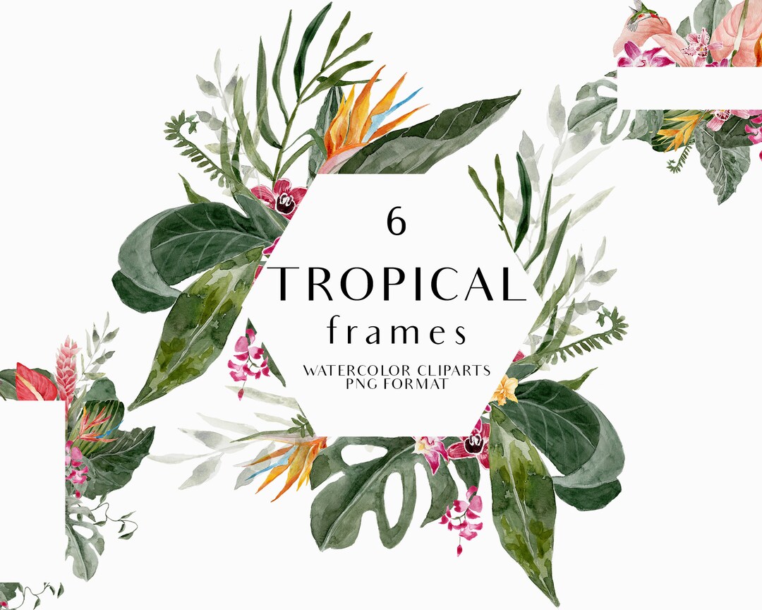 Tropical Watercolor Floral Clipart - Tropical Flowers Frames - Tropical ...