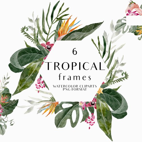 Watercolor Tropical Leaves and Flowers Clipart. Exotic Plants - Etsy