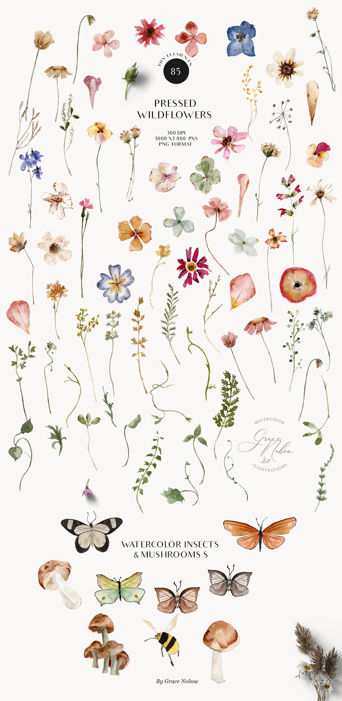 Watercolor Wild Field Flowers Meadow Clipart Summer Spring - Etsy