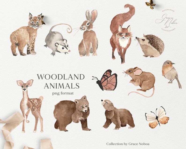 Forest Woodland Animals Watercolor Clipart Set Wild Forest - Etsy