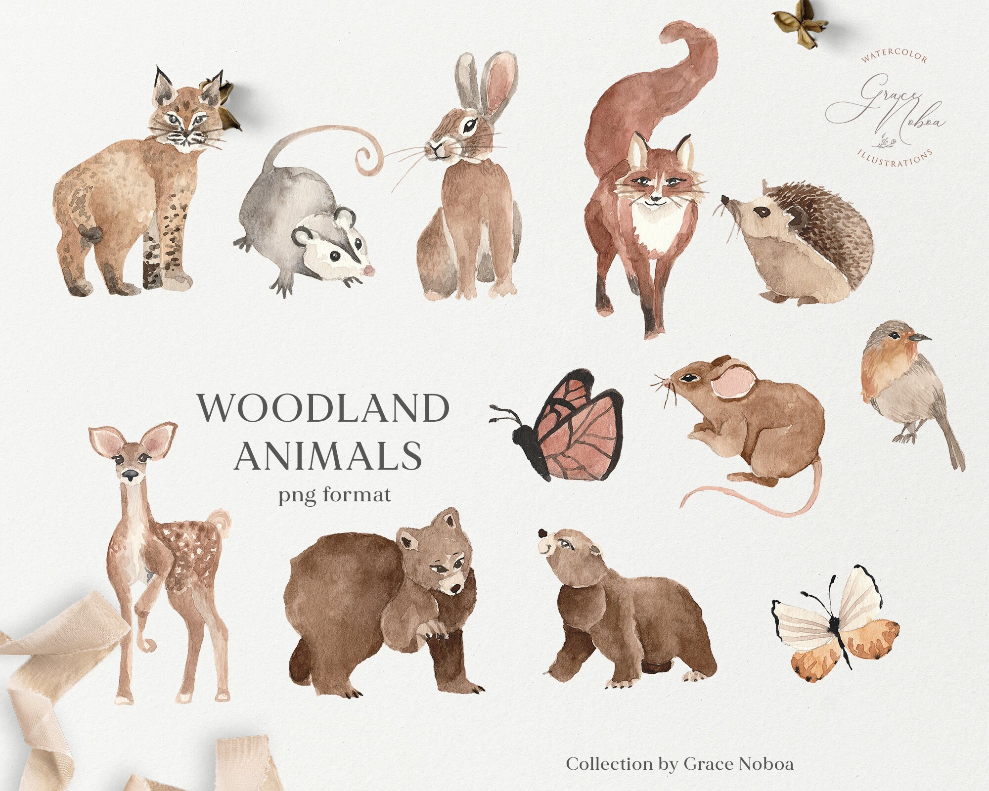 Forest Woodland Animals Watercolor Clipart Set Wild Forest - Etsy