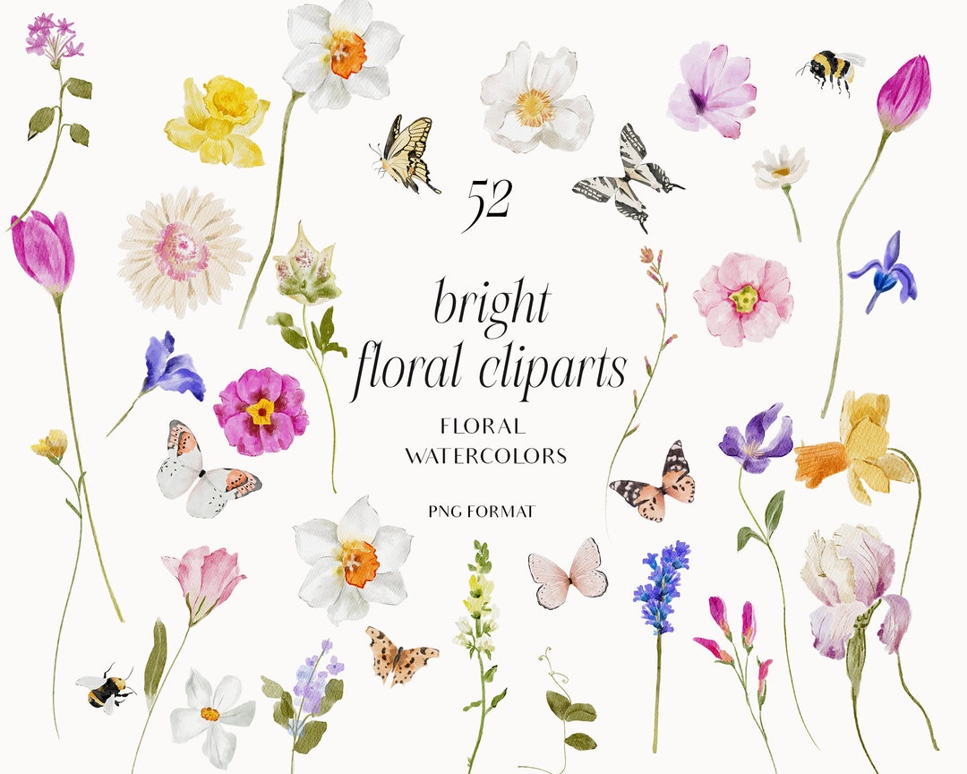 Watercolor Wildflower Floral Clipart Bright Watercolor Flowers Png ...