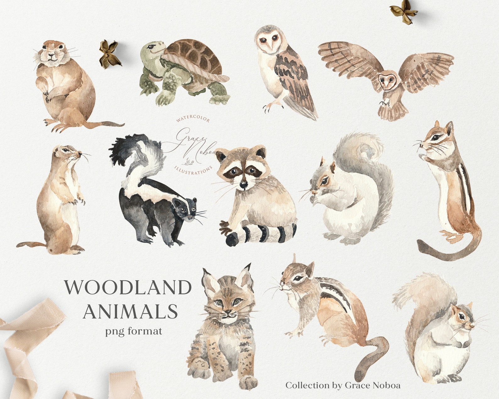 Forest Woodland Animals Watercolor Clipart Set Wild Forest - Etsy