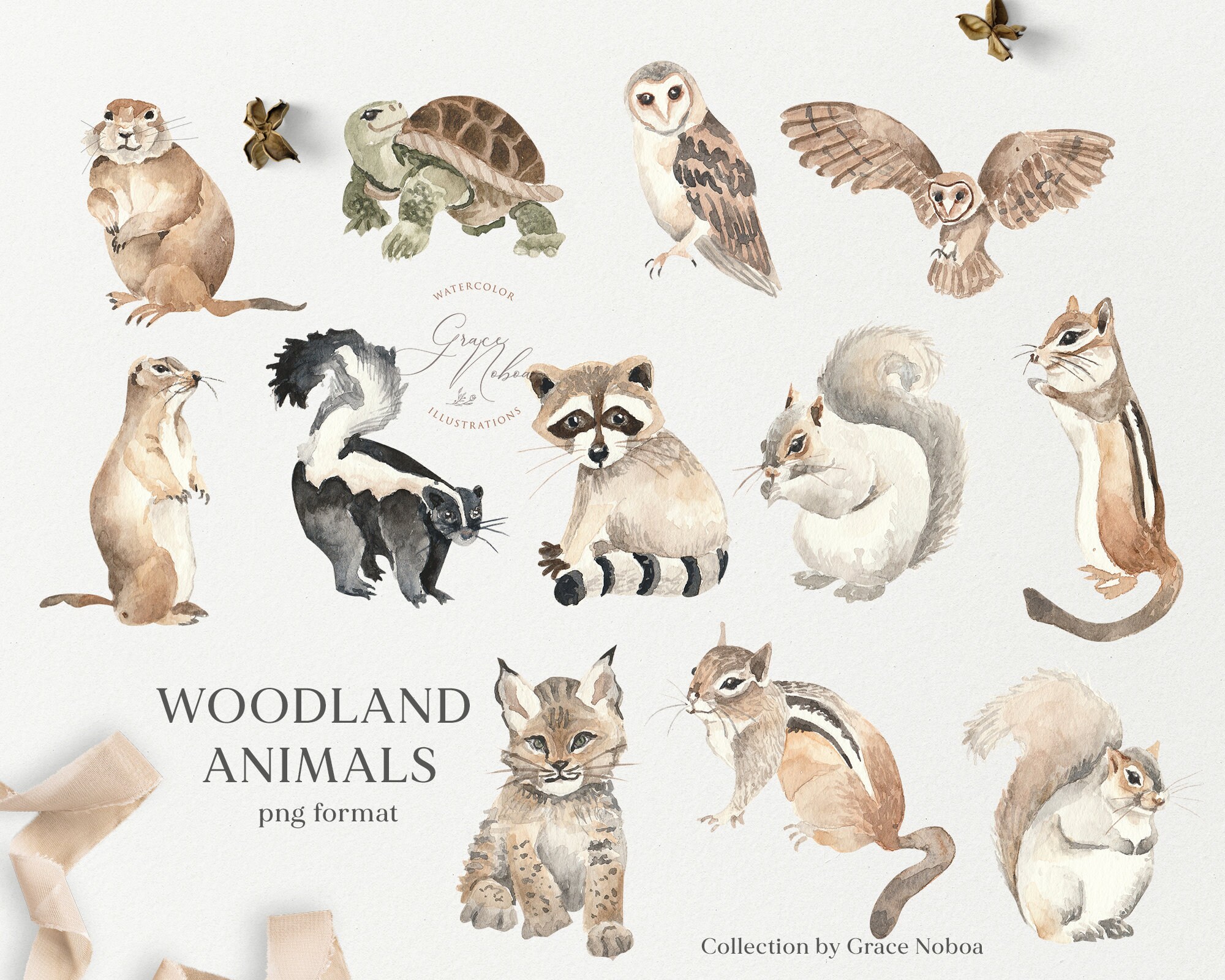 Forest Woodland Animals Watercolor Clipart Set Wild Forest - Etsy