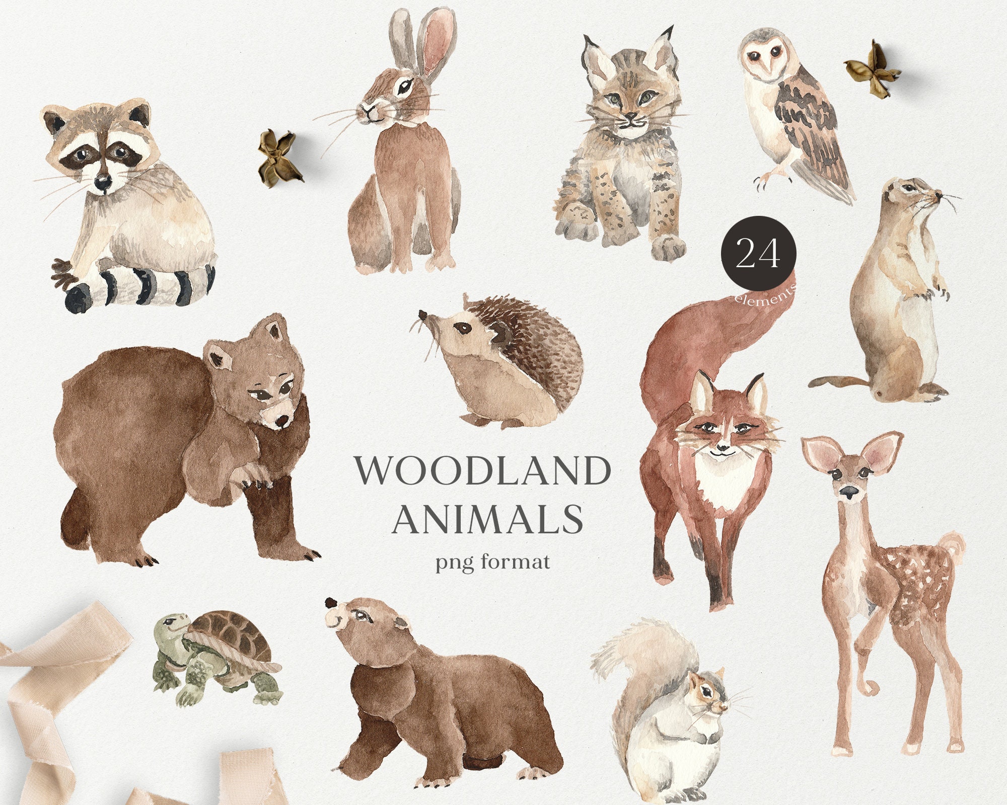 Forest Woodland Animals Watercolor Clipart Set Wild Forest - Etsy