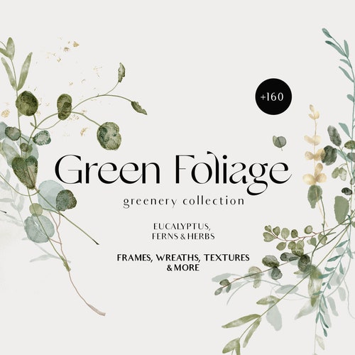 Watercolor Greenery Clipart Eucalyptus Clipart Foliage - Etsy