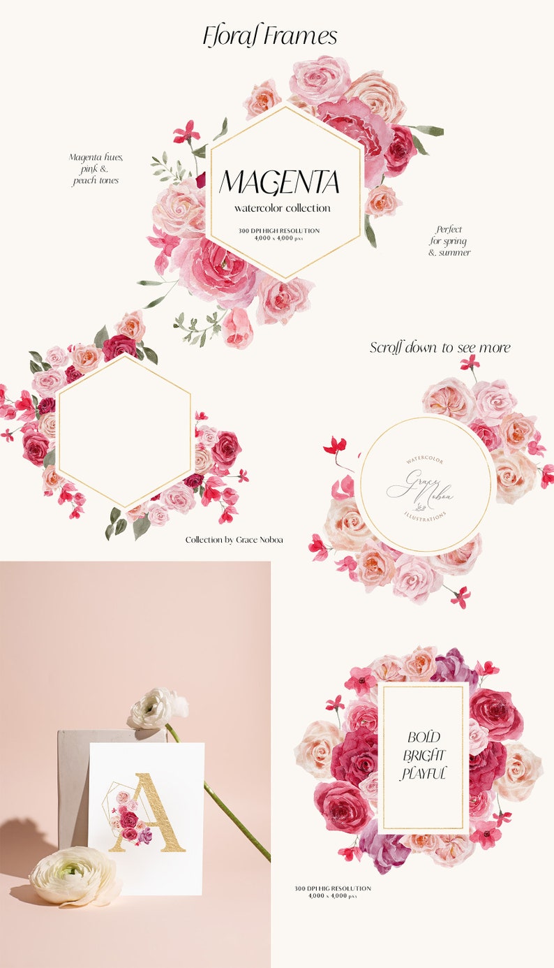 Magenta and Pink Floral Clipart Watercolor Flower Pink Roses - Etsy