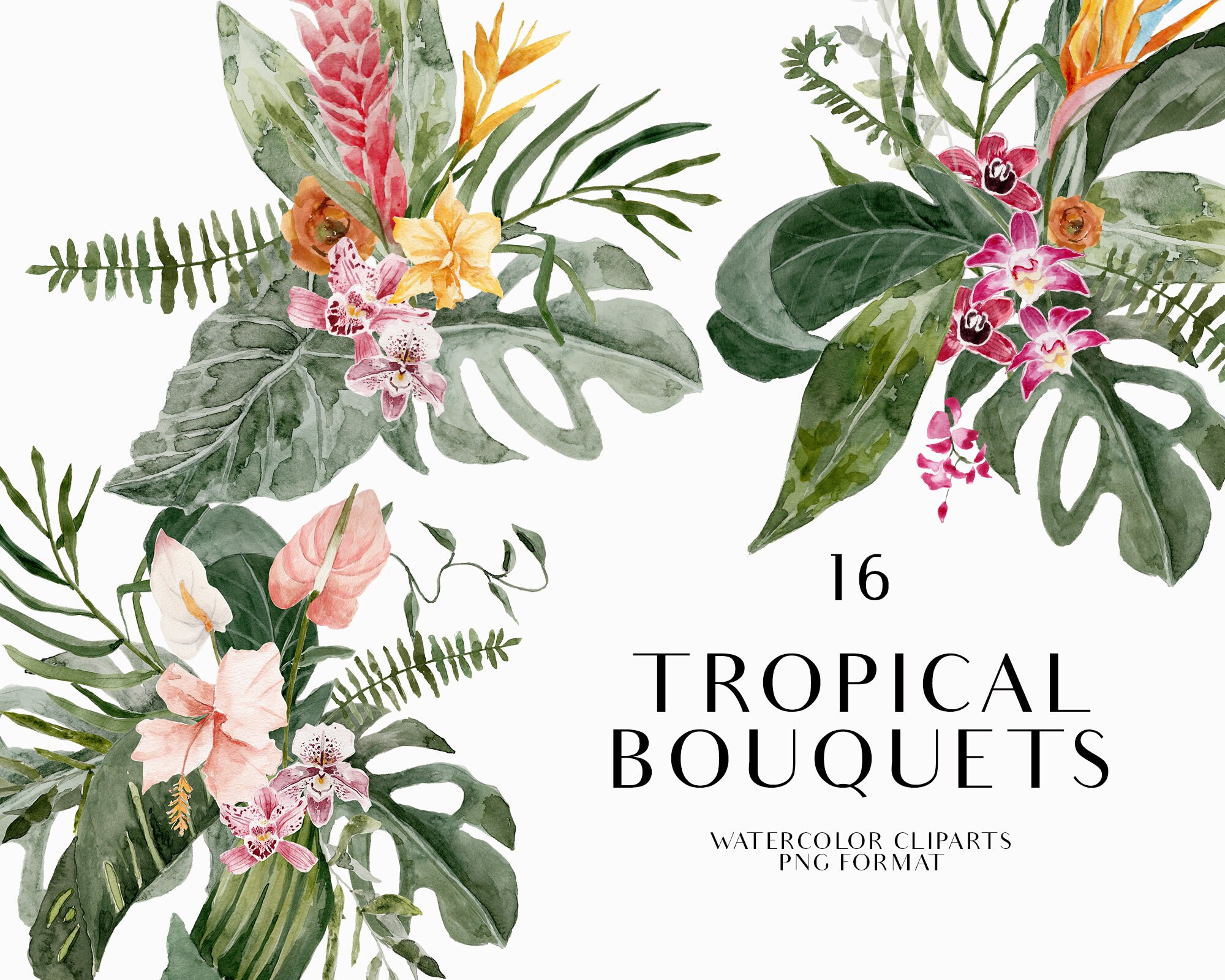 Tropical Watercolor Floral Clipart Tropical Flowers - Etsy