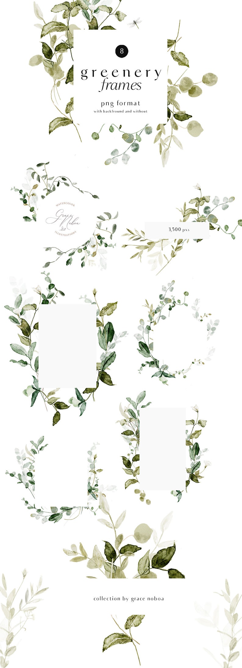 Watercolor Greenery Clipart Eucalyptus Clipart Foliage - Etsy