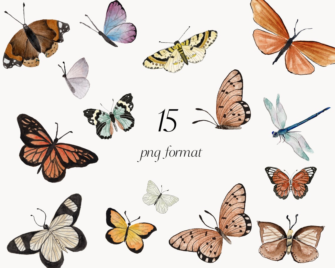 Watercolor Butterfly Clipart Garden Insects Png Floral - Etsy