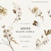 Watercolor Fall Woodland Forest Animals Clipart Watercolor Pumpkin ...