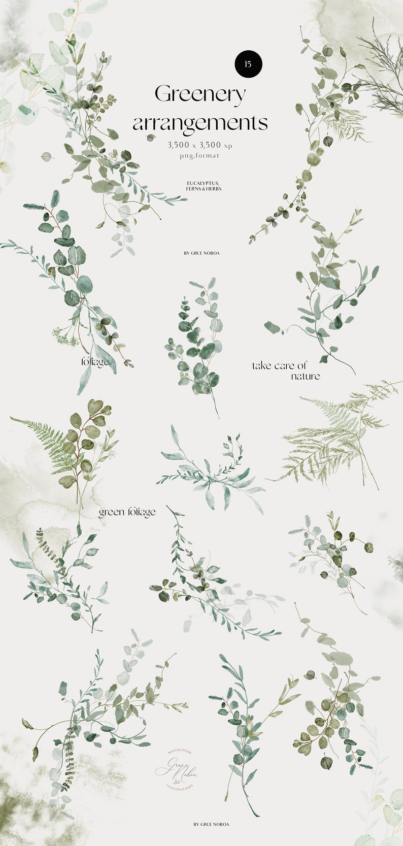 Watercolor Greenery Clipart Eucalyptus Clipart Foliage - Etsy
