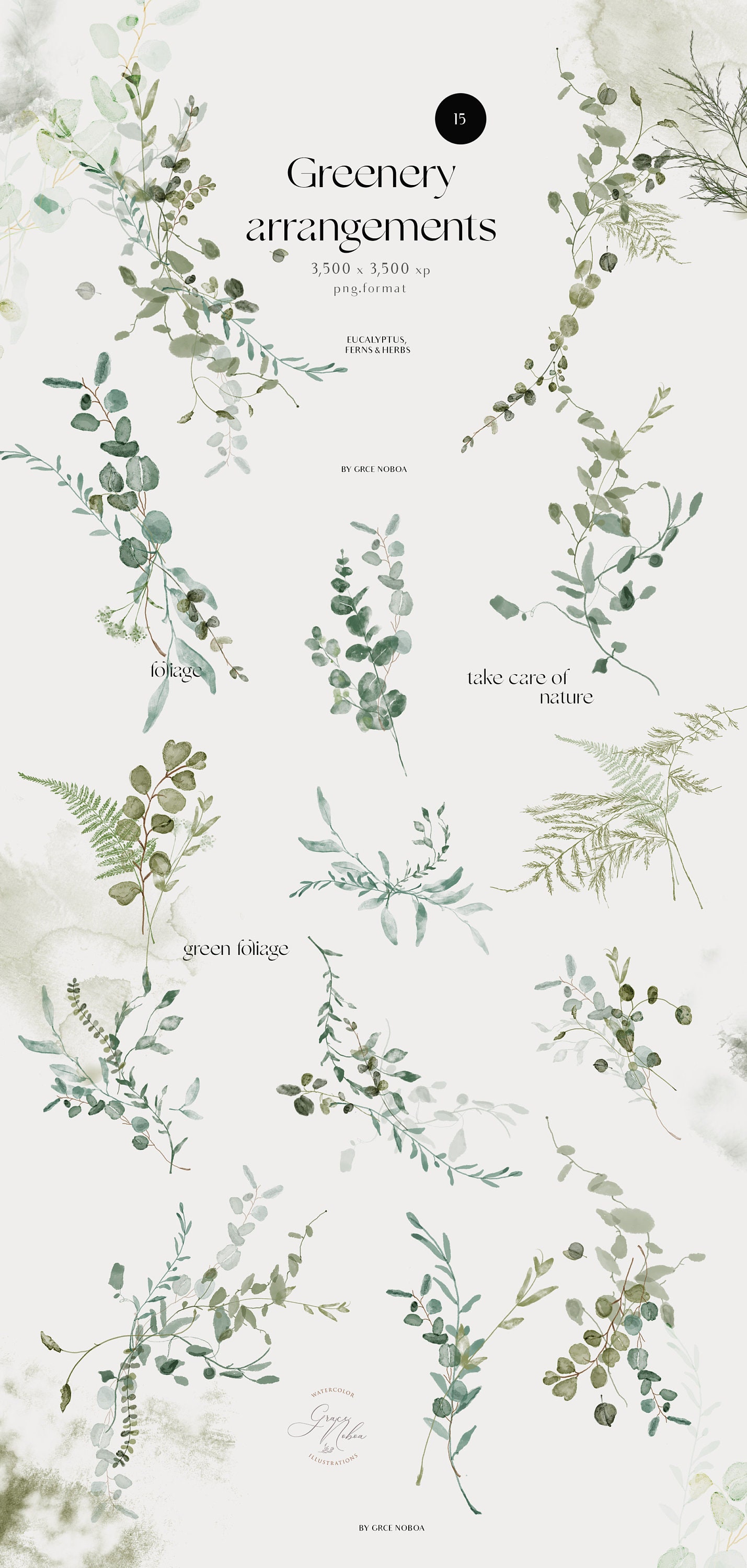 Watercolor Greenery Clipart Eucalyptus Clipart Foliage - Etsy
