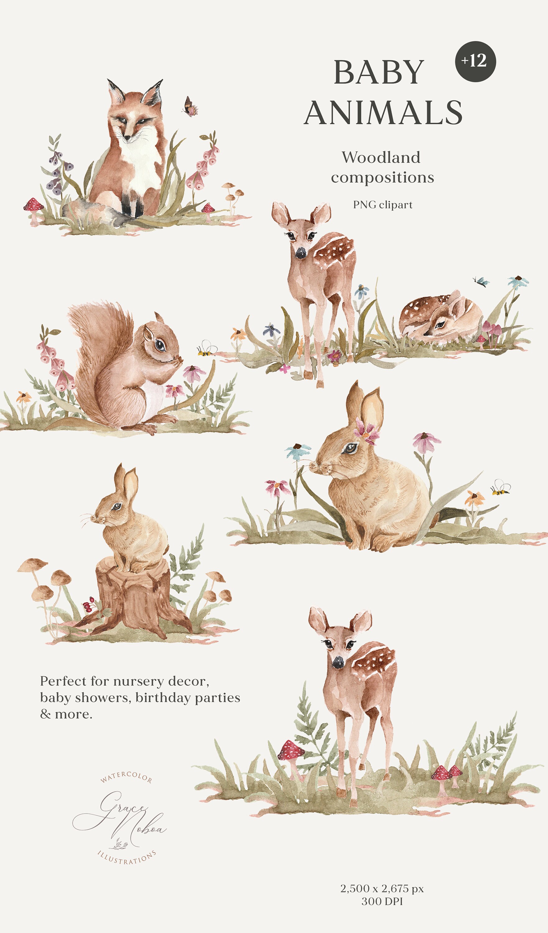 Forest Woodland Animal Babies Woodland Animals Watercolor - Etsy