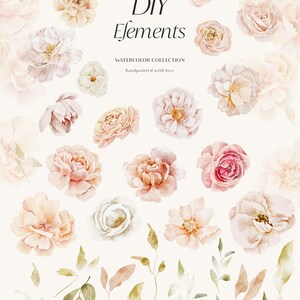 Watercolor Peach Blush Flowers Clip Art- Watercolor Spring Flower ...