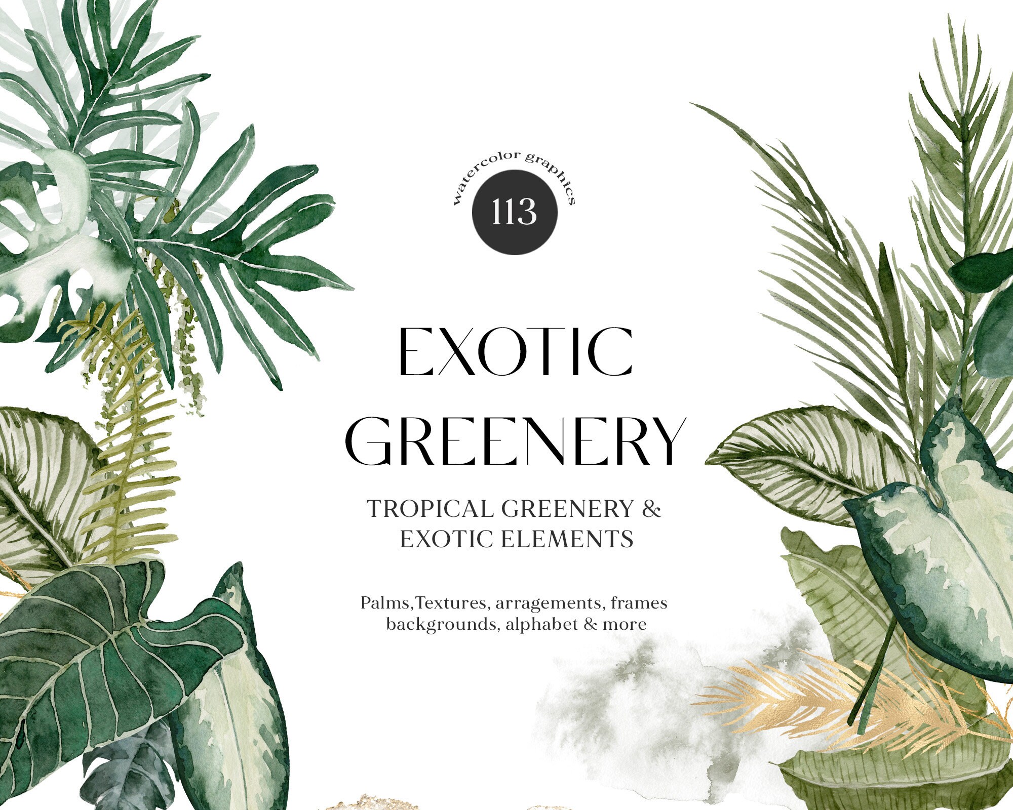 Boho Tropical Greenery Floral Clipart Watercolor Monstera - Etsy