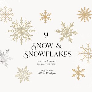 Christmas Flowers - Winter Snow Png- Snowflake Clipart - Christmas ...