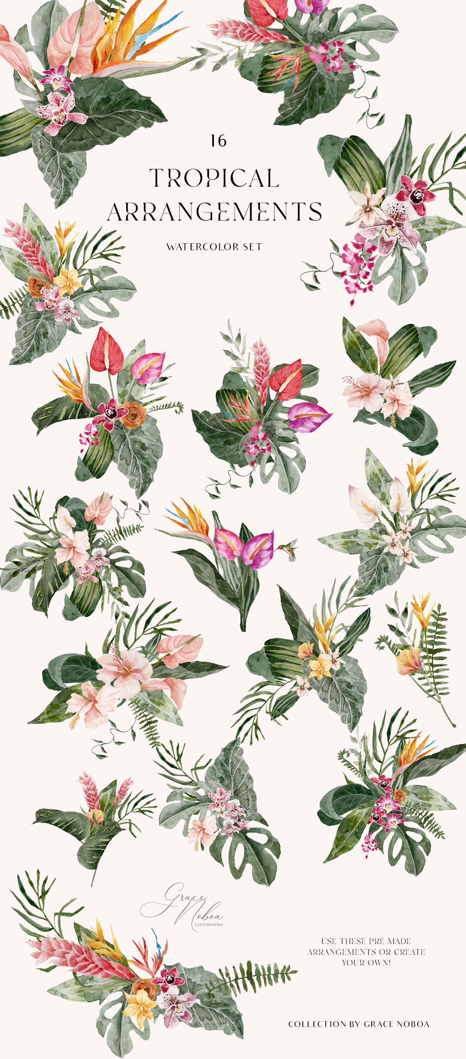 Tropical Watercolor Floral Clipart Tropical Flowers - Etsy