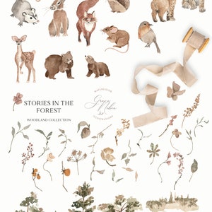 Watercolor Woodland Forest Animals Clipart Wildflower Watercolor ...