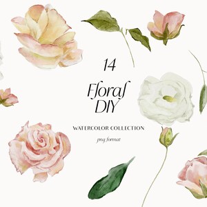 Watercolor Blush and Rose Clipart - Watercolor Flower Pink Roses Garden ...