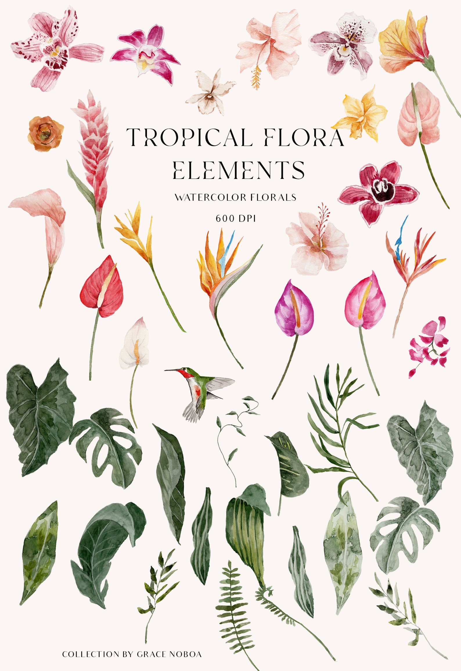 Tropical Watercolor Floral Clipart Tropical Flowers - Etsy