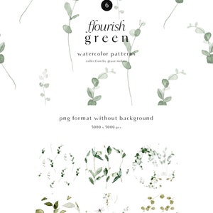 Watercolor Greenery Clipart Eucalyptus Clipart Foliage - Etsy