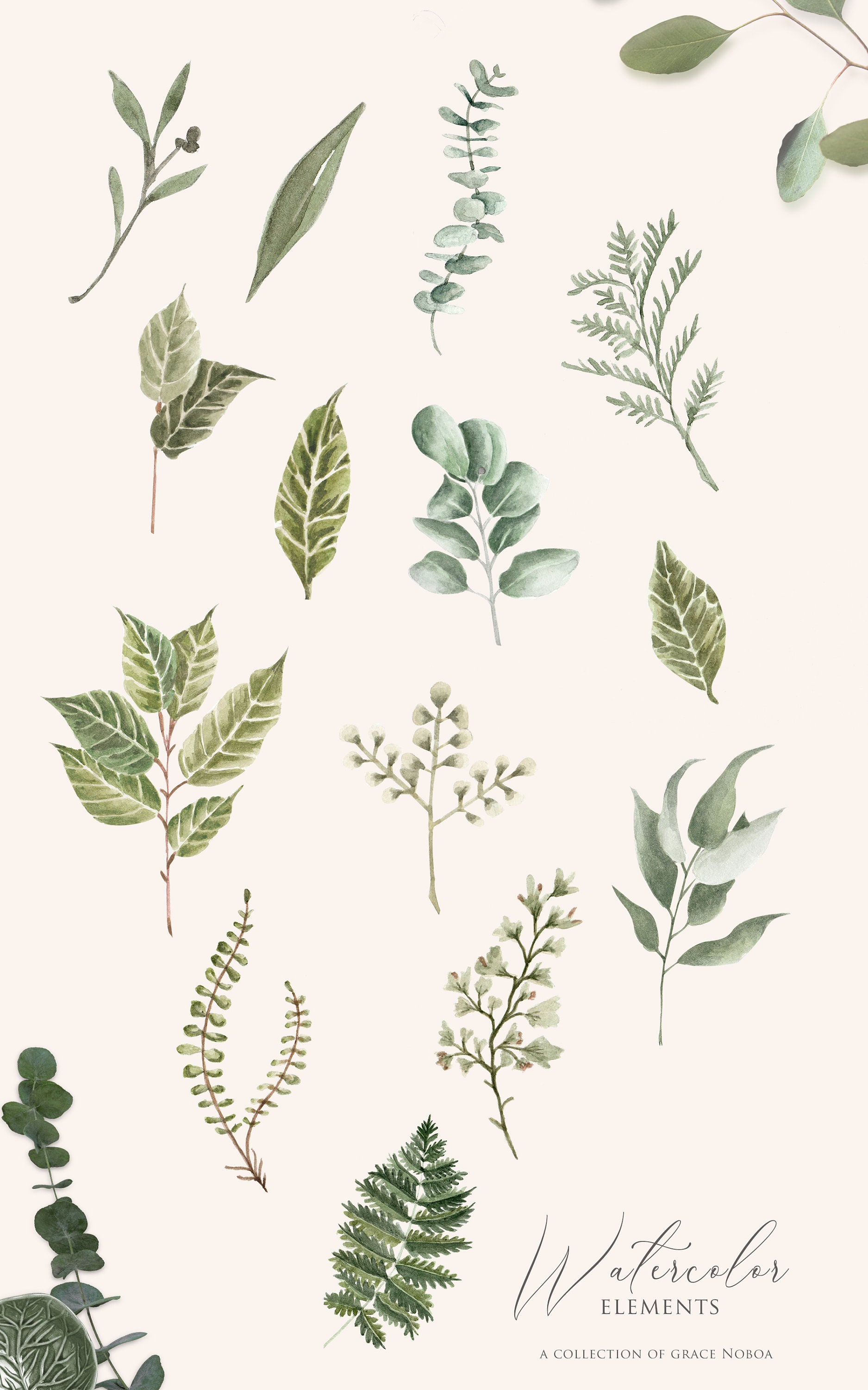 Watercolor greenery clipart set collection green foliage | Etsy