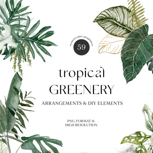 Tropical Jungle Watercolor Clipart Tropical Leaves - Etsy