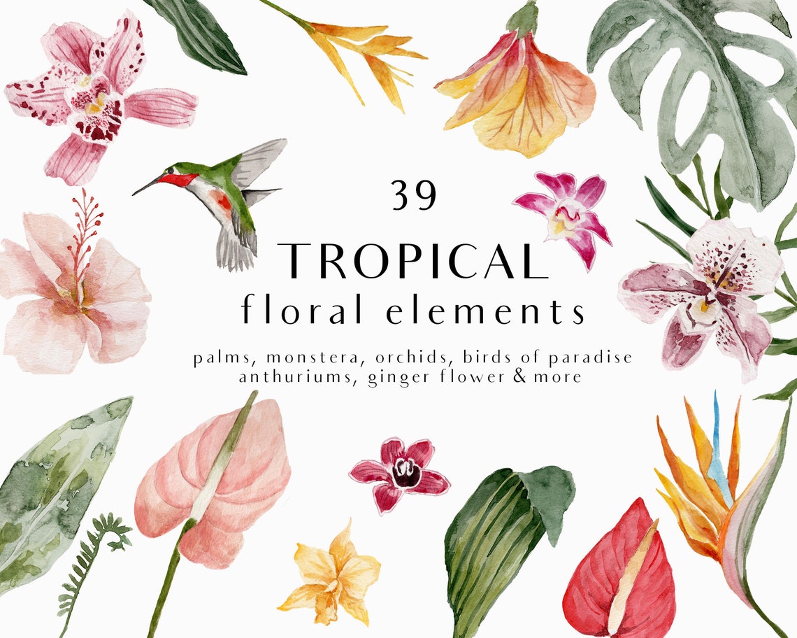 Tropical Watercolor Floral Clipart Tropical Flowers - Etsy