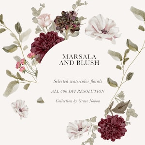 Burgundy Watercolor Fall Png Watercolor Floral Clip Art-marsala ...