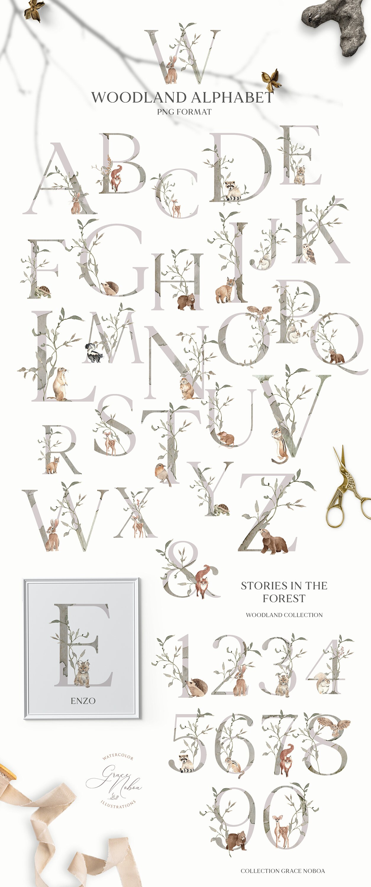 Watercolor Woodland Forest Animals Clipart Wildflower - Etsy