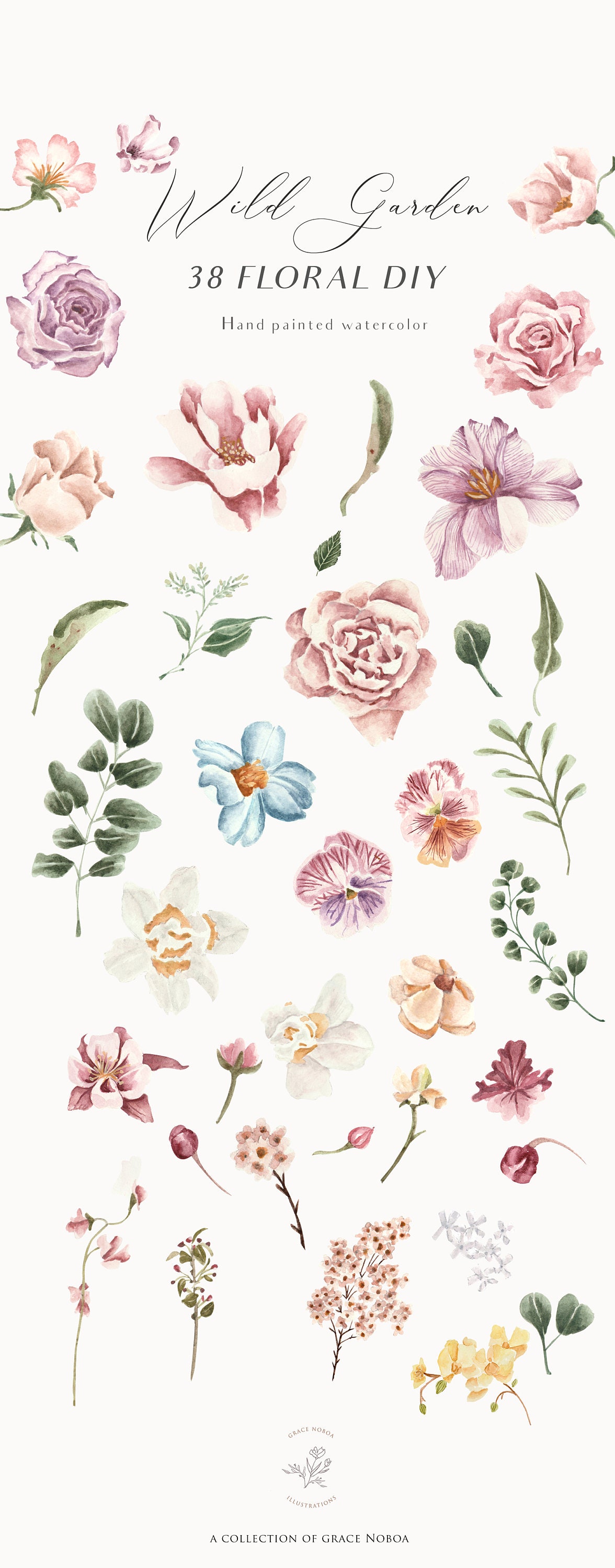 Wild Botanical Garden Watercolor Floral Clipart Spring Set - Etsy