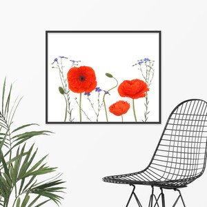 Poppies & Flax Photograph ~ Floral Collection 25 ~ Nature Photography ...