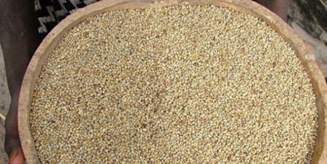 Petit Mil 1 lb Pitimi Product of Haiti | Etsy