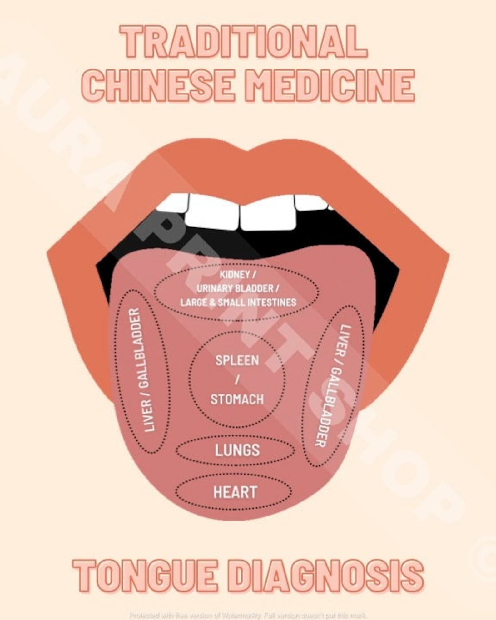Guía de estudio de MTC, Medicina tradicional china, Diagnóstico de ...
