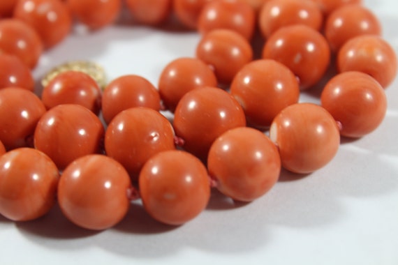 Vintage 14KG Natural Japanese Orange Momo Coral Neckl… - Gem