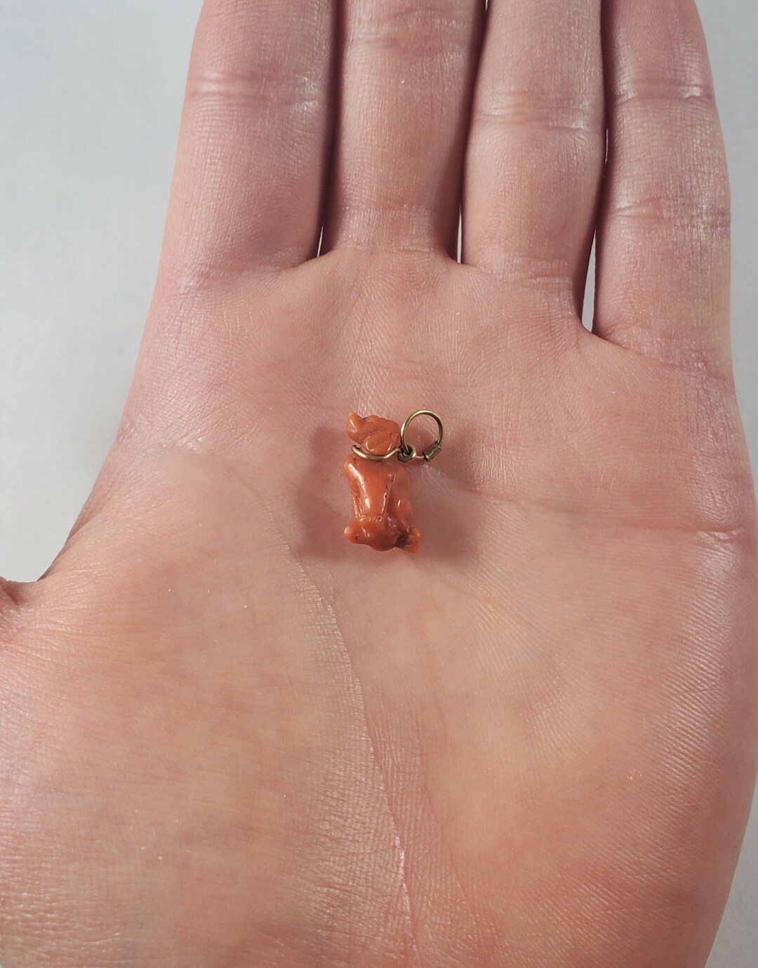Antique Victorian 14k Carved Coral Dog Pendant - Etsy