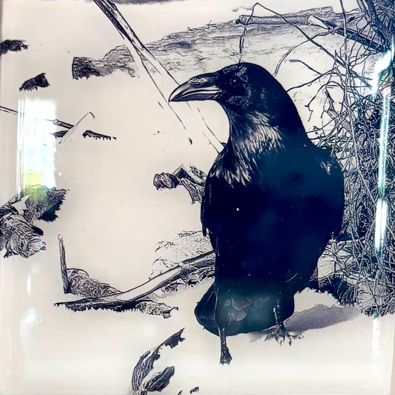 Raven Photography - Etsy