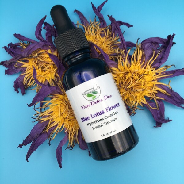 Blue Lotus Flower - Etsy