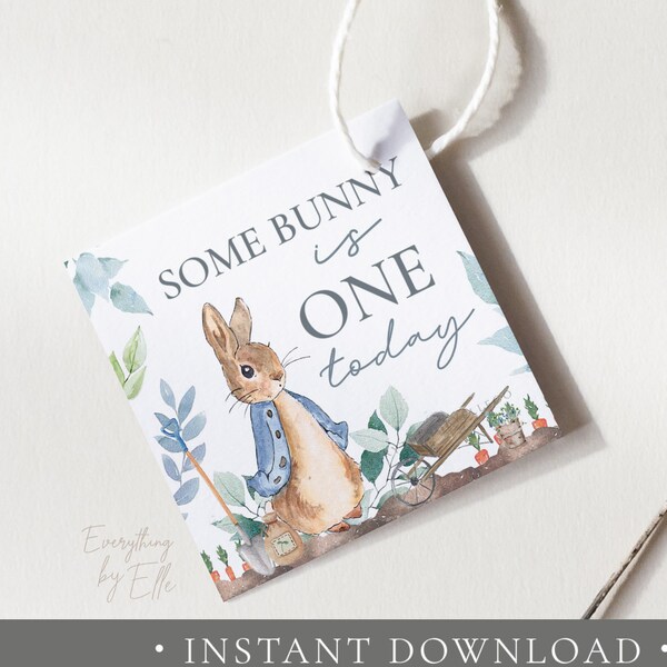 Peter Rabbit Tags - Etsy