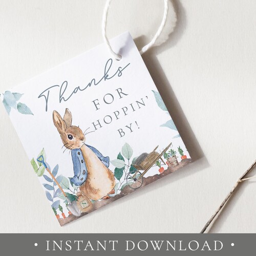 INSTANT DOWNLOAD Peter Rabbit Food Labels Blank Baby Shower - Etsy