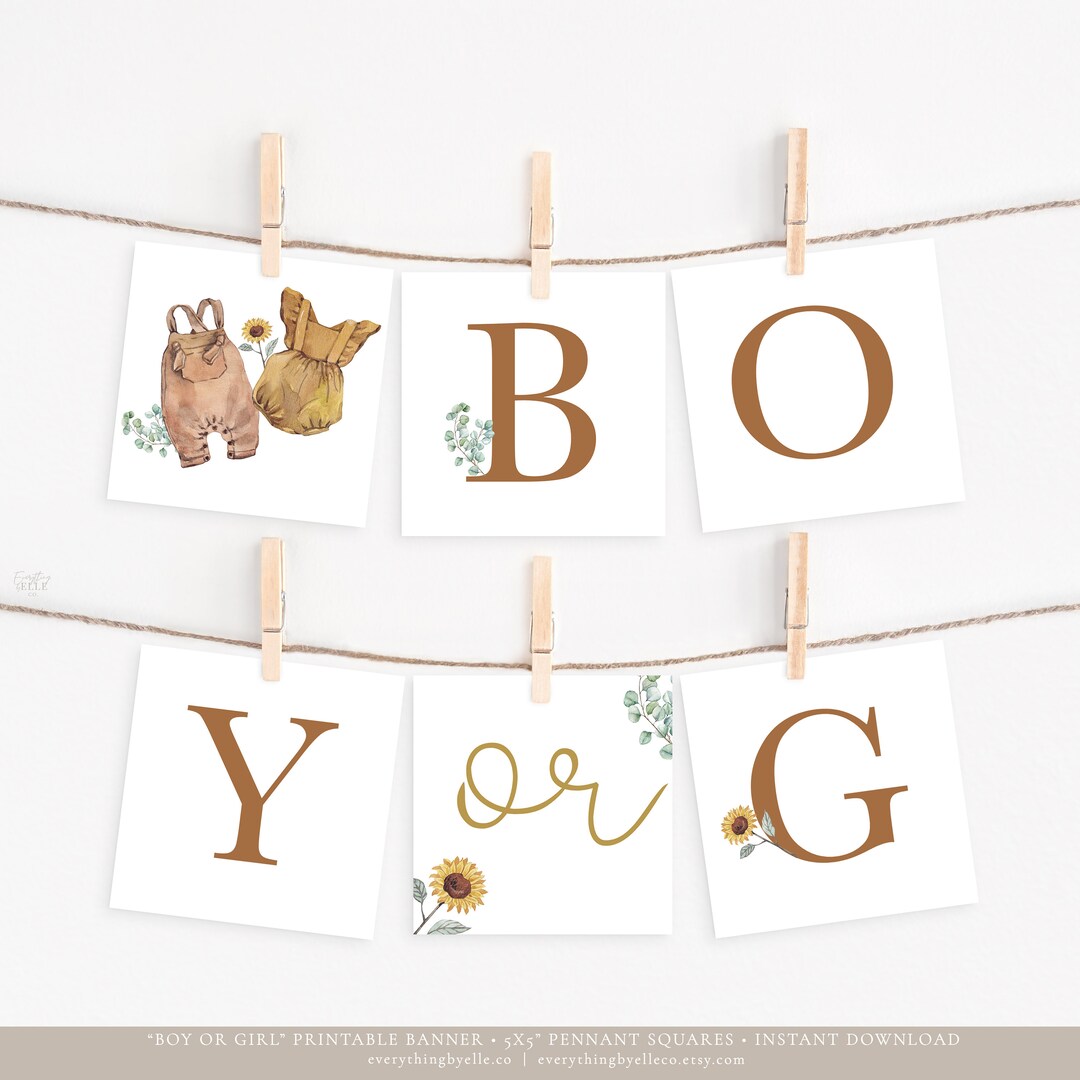 Boho Boy or Girl Pennant Banner Printable Instant Boho Gender - Etsy