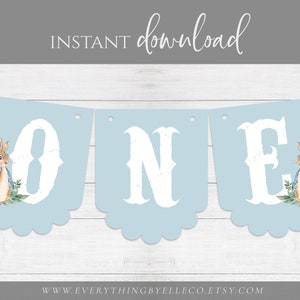 Peter Rabbit Printable Banner, 1st Birthday Peter Rabbit Pennant High ...