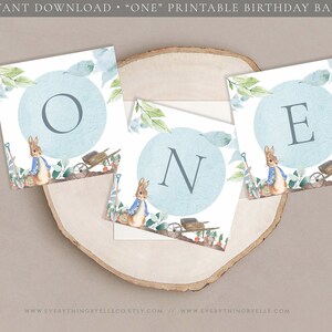 Peter Rabbit Birthday Invitation Printable, 1st Birthday Classic Peter ...