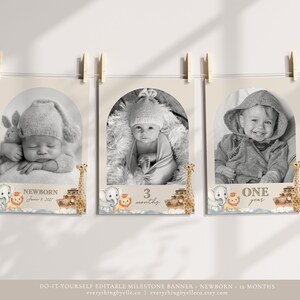 Noah's Ark Birthday Milestone Board Editable, Muted Neutral Boho Noah's ...