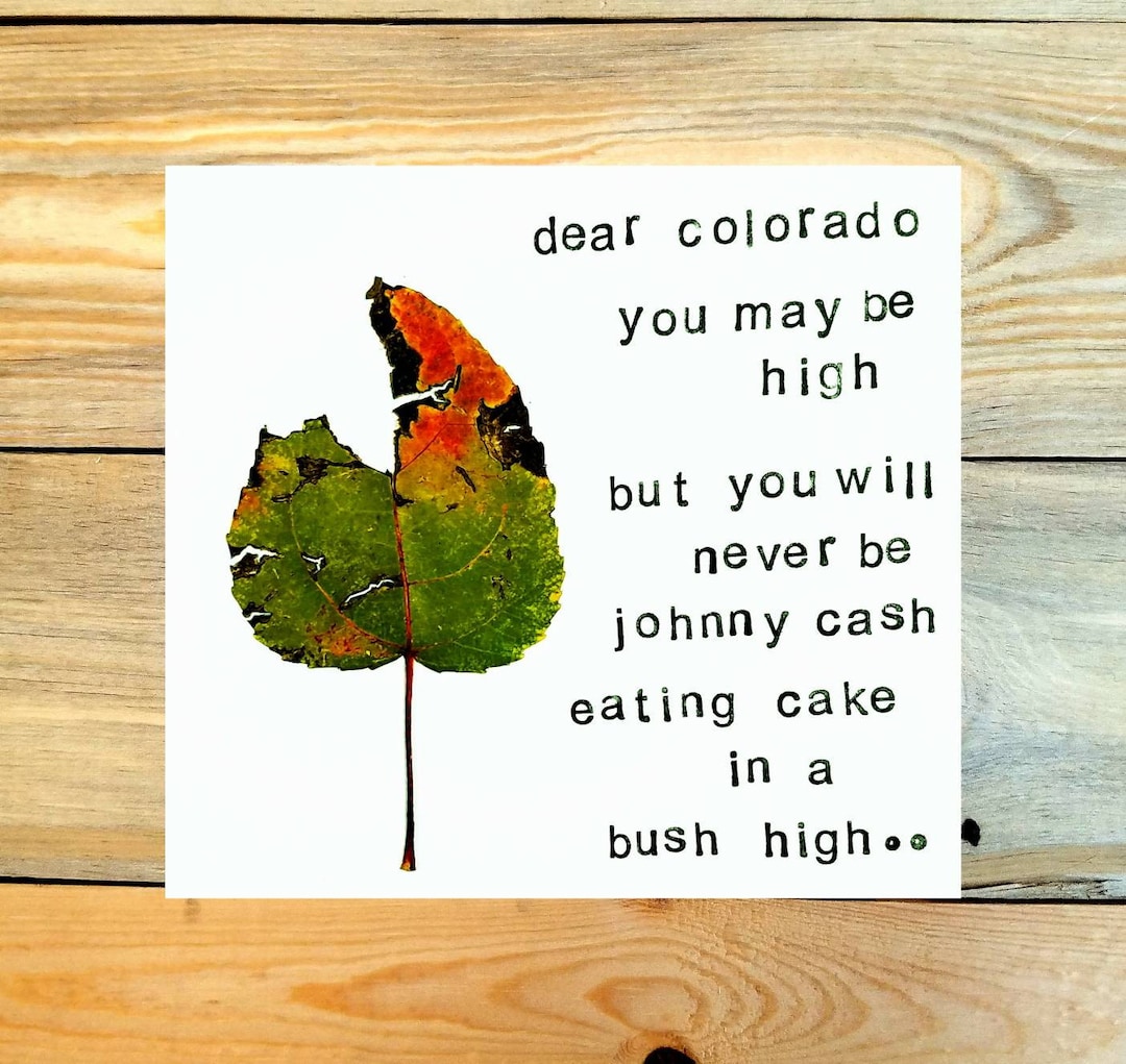 Johnny Cash Eating Cake in the Bush High Colorado Card - Etsy
